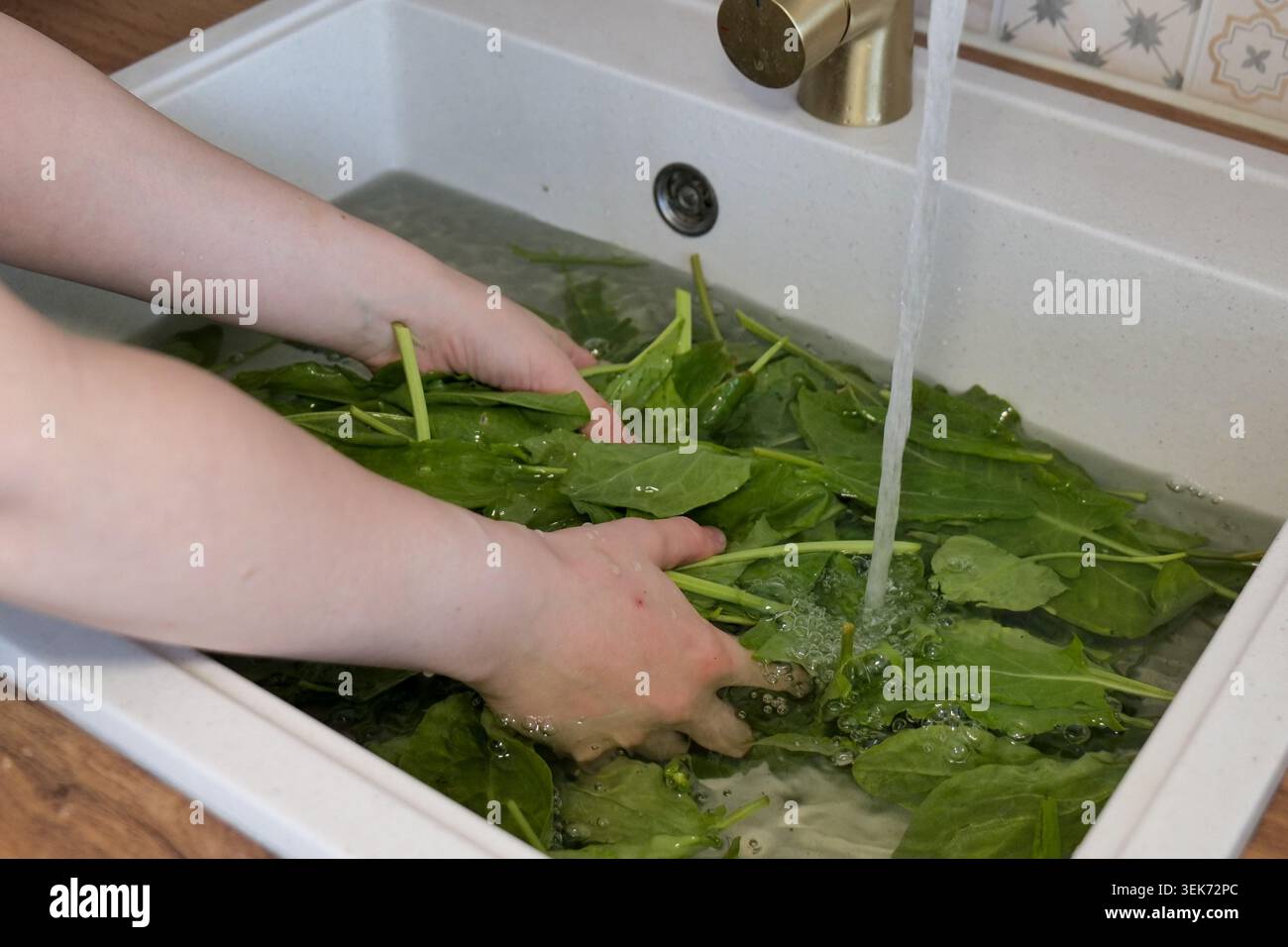 Washing Fresh Sorrel Leaves in Kitchen Sink Stock Photo - Alamy