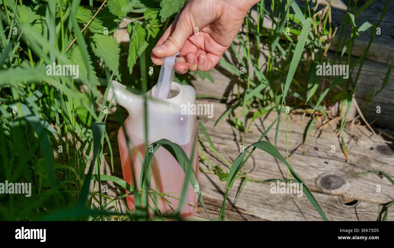 Hand pouring liquid fertilizer into a plant pot in a garden Stock Photo ...
