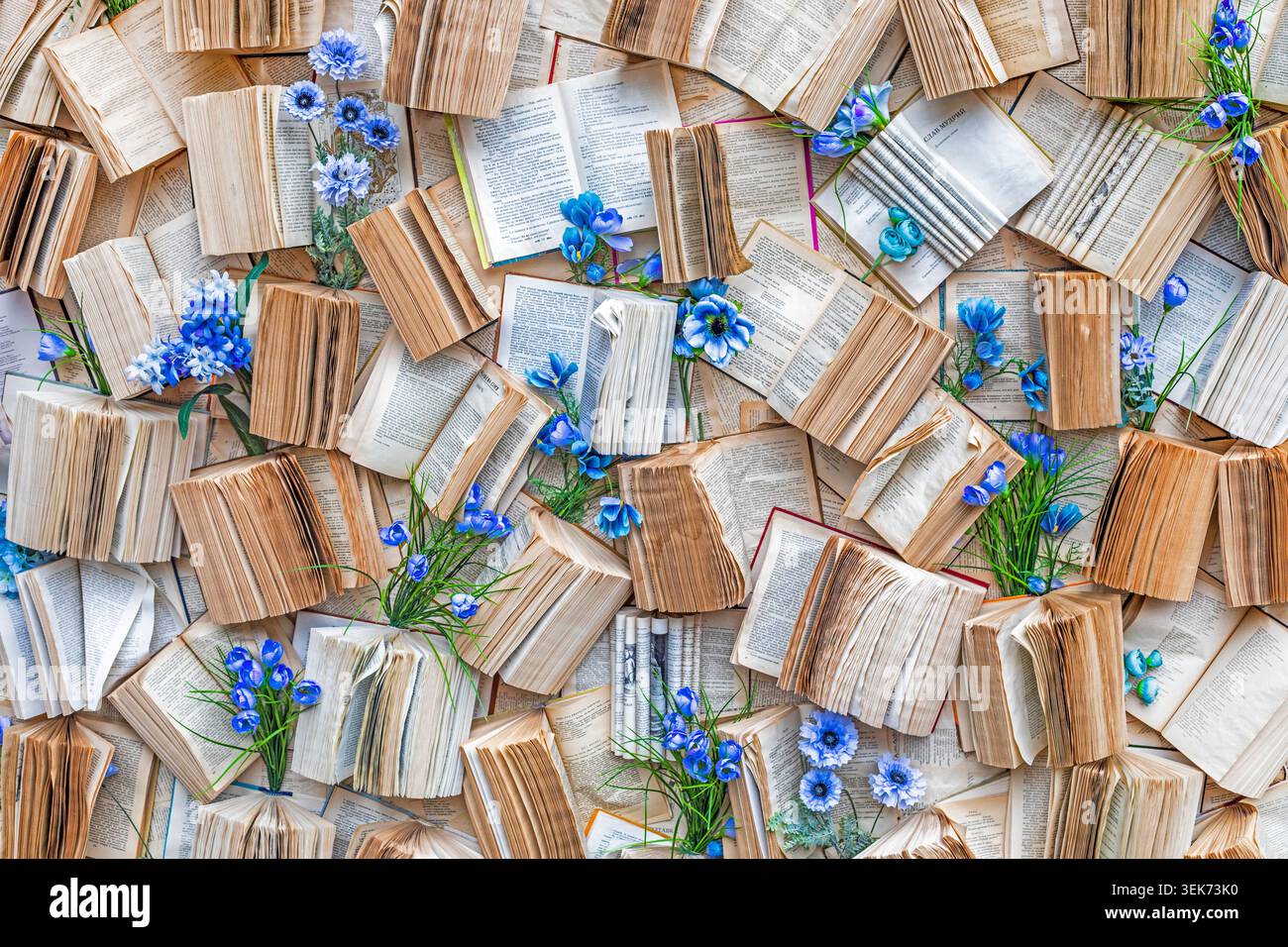 Abstract background with open printed books and blue flowers between ...