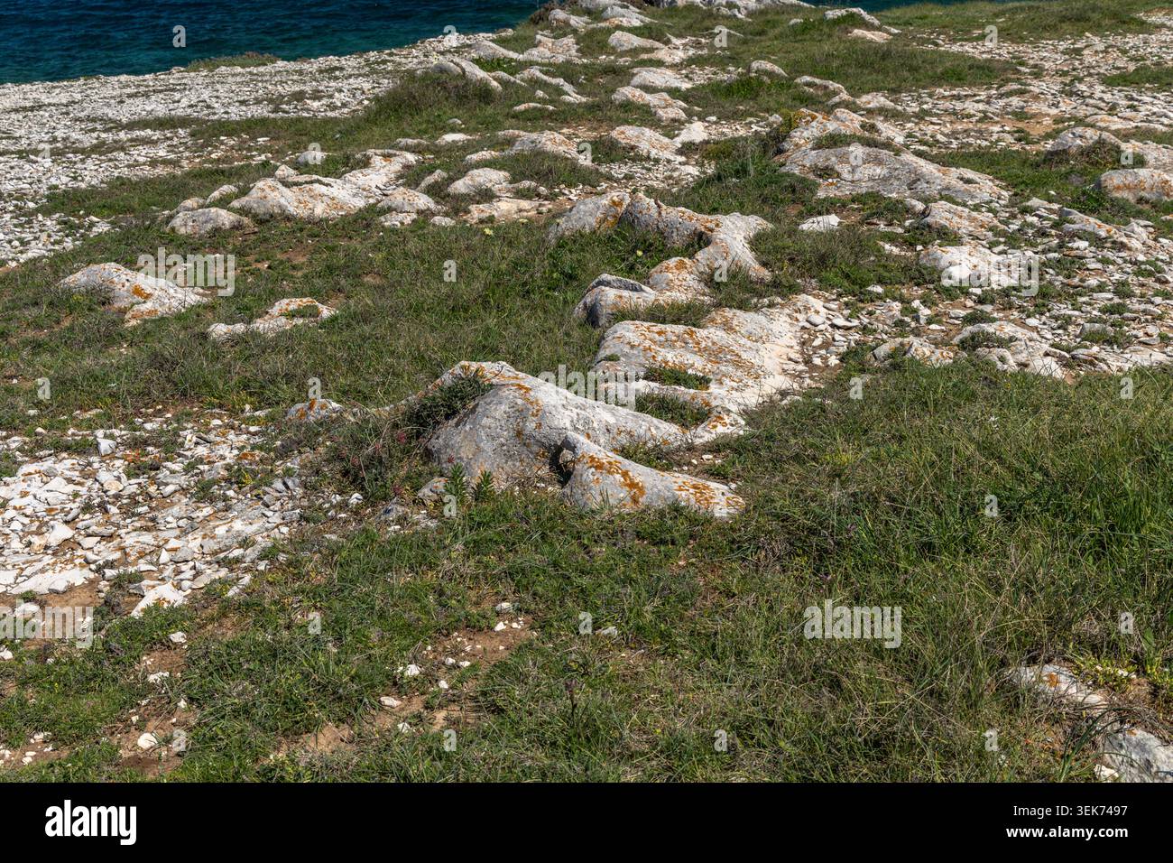 Picturesque coastal landscape of Lakosaše Beach near Medulin on the ...