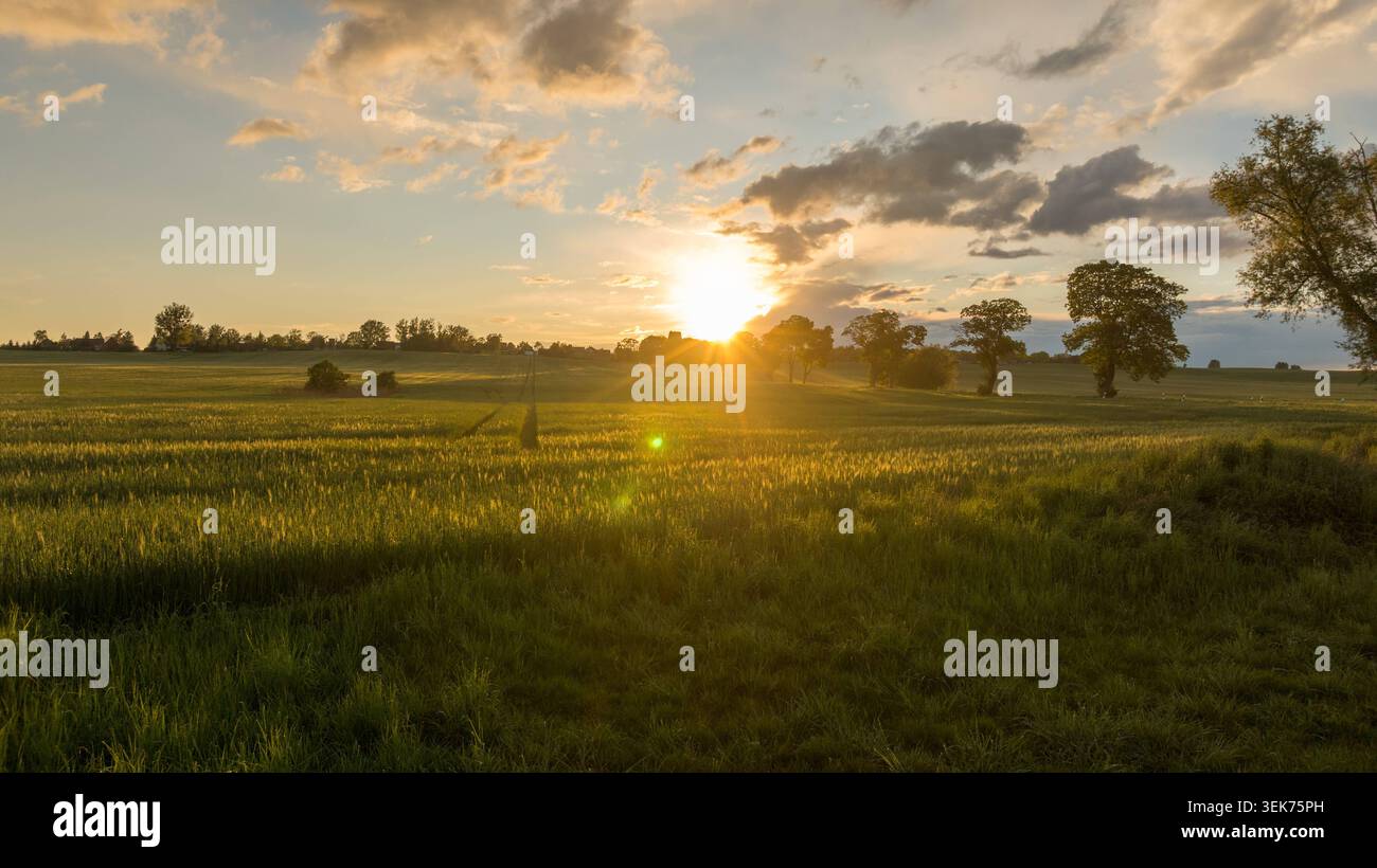 14.05.2026 - Sonnenuntergang an einem Getreidefeld Mecklenburg ...