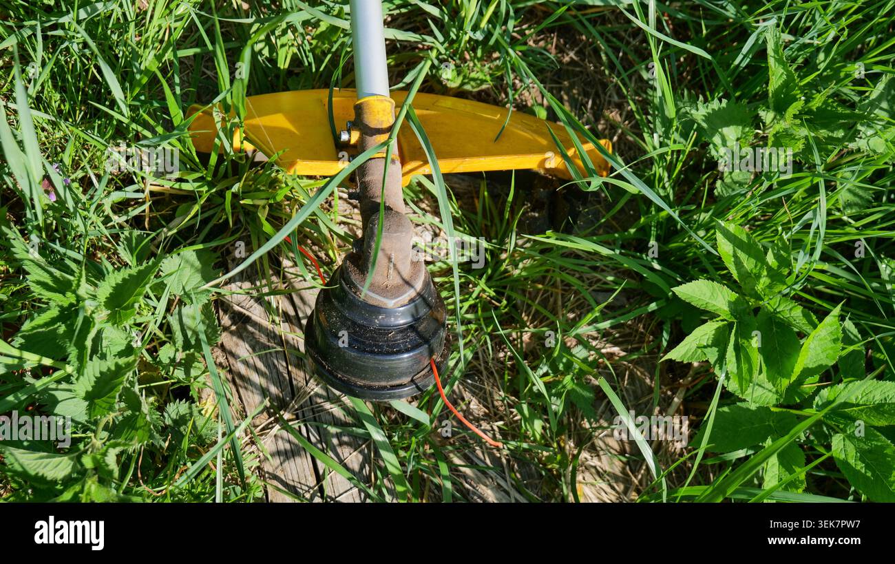 Close-up of a string trimmer head in tall grass Stock Photo - Alamy