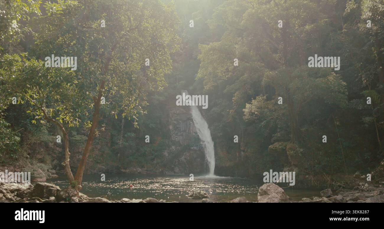 Waterfall flows into a natural pond surrounded by dense green jungle ...