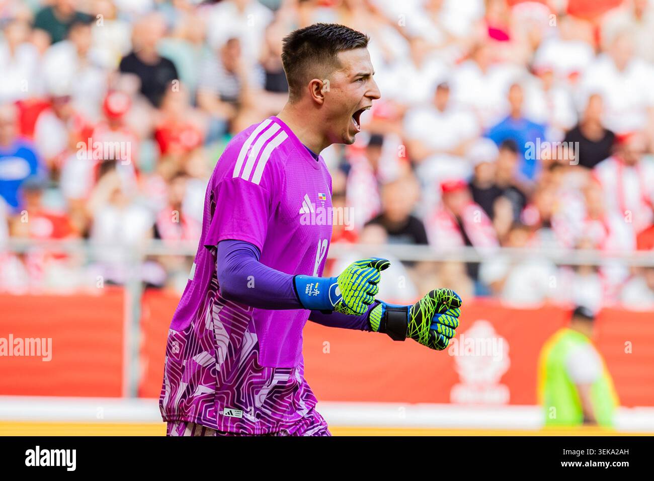 Anatoliy Trubin of Ukraine celebrates a goal during the friendly match ...