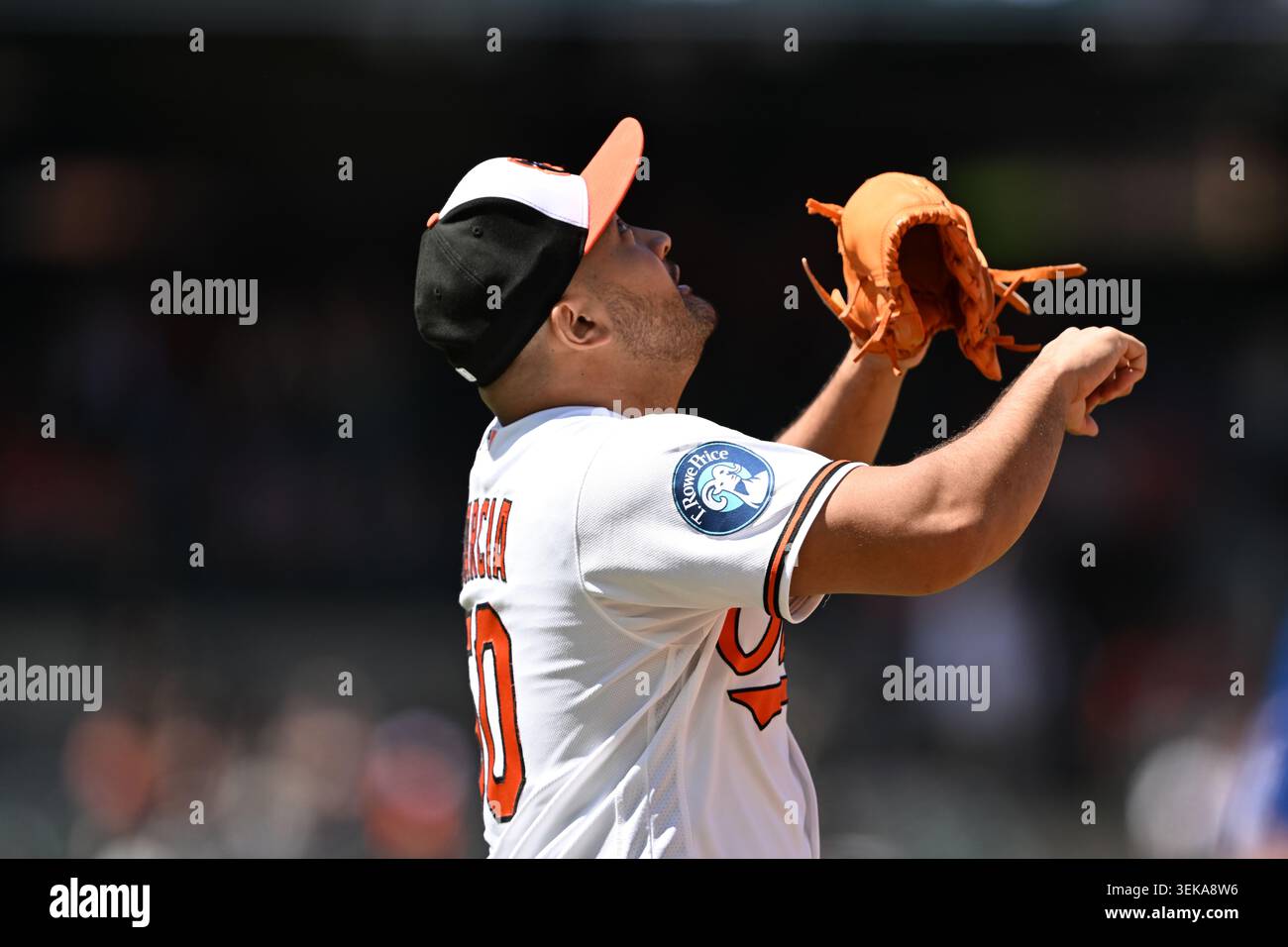 Baltimore Orioles pitcher Rico Garcia looks up after securing a win in ...