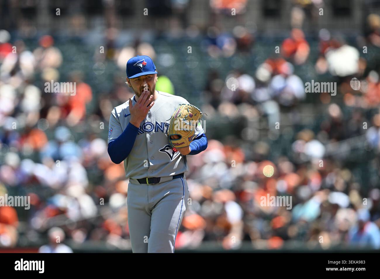 Toronto Blue Jays pitcher Spencer Miles pauses during a baseball game ...