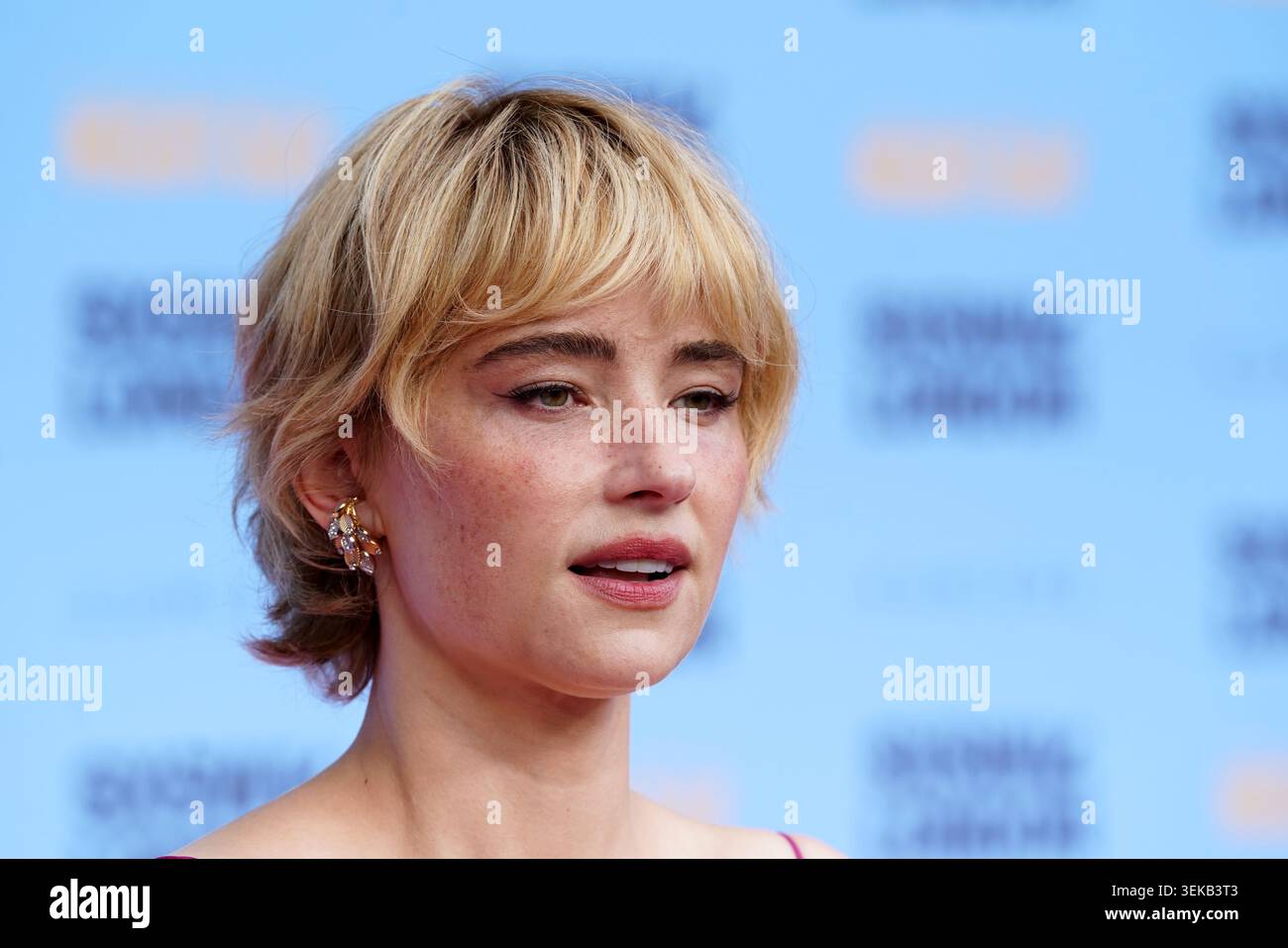 Haley Bennett attending the Virginia Woolf's Night and Day world ...