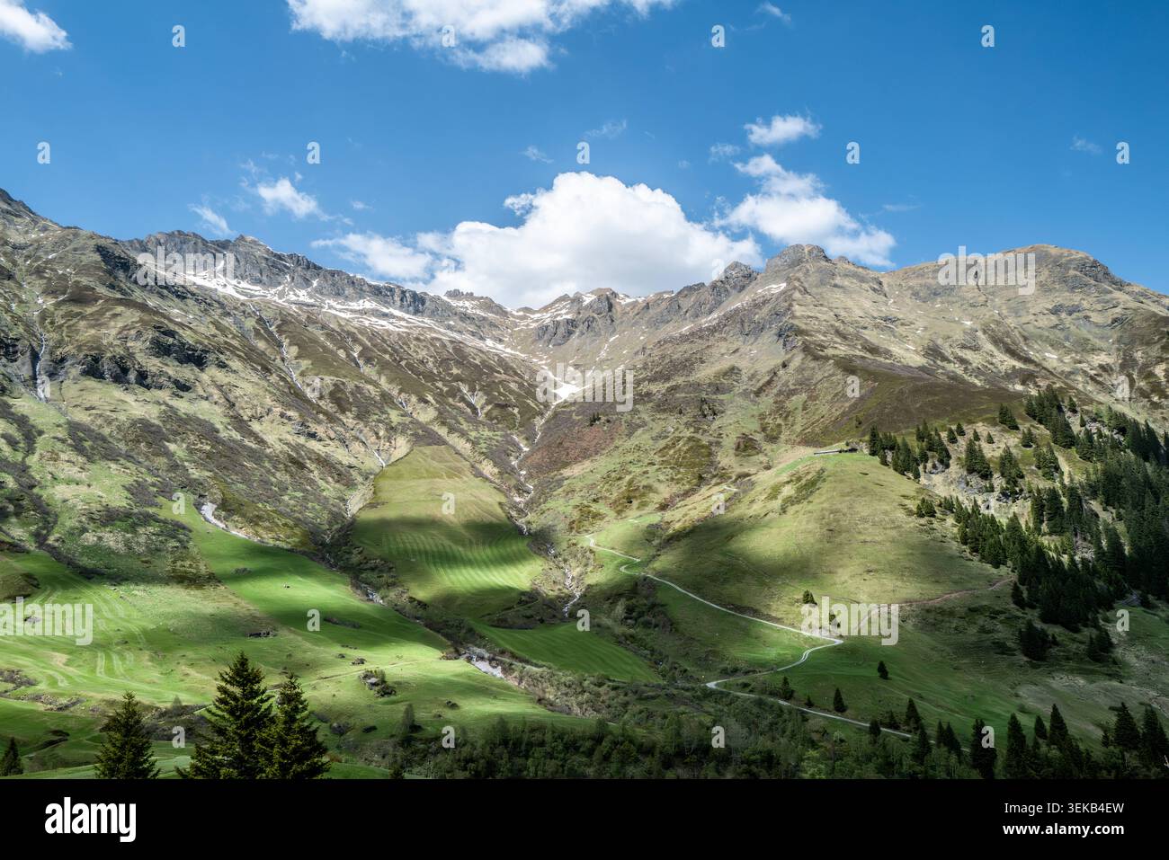 Alpine meadow in the Austrian mountains Bad Hofgastein Gadaunerer ...