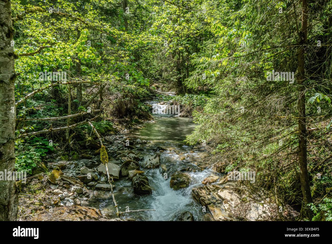 Mountain stream in the Austrian Alps Bad Hofgastein Schlossalm Salzburg ...