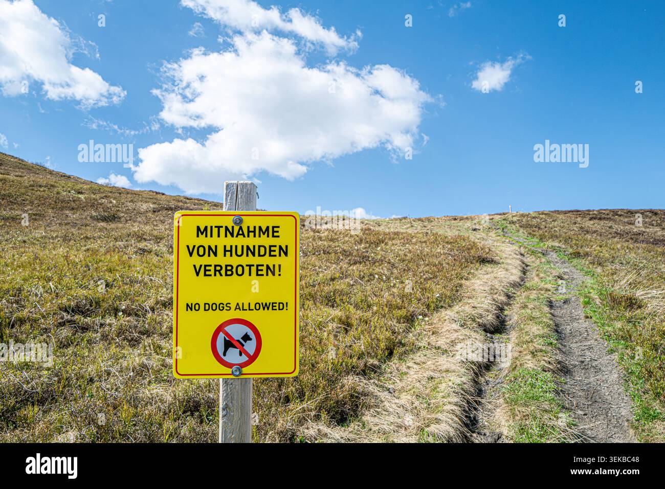 Signpost prohibiting dogs due to grazing livestock in the Austrian Alps ...