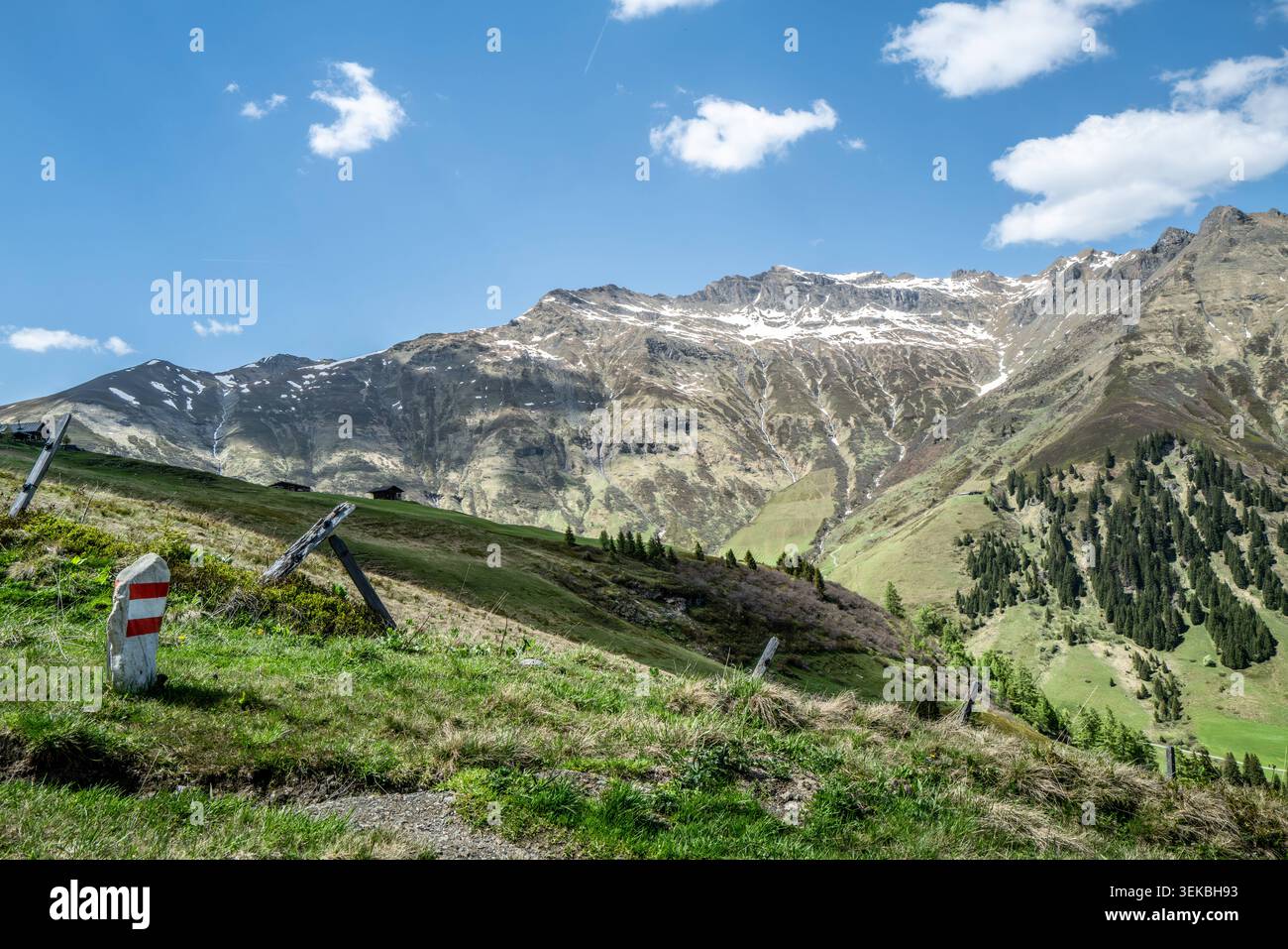 Alpine meadow in the Austrian mountains Bad Hofgastein Gadaunerer ...