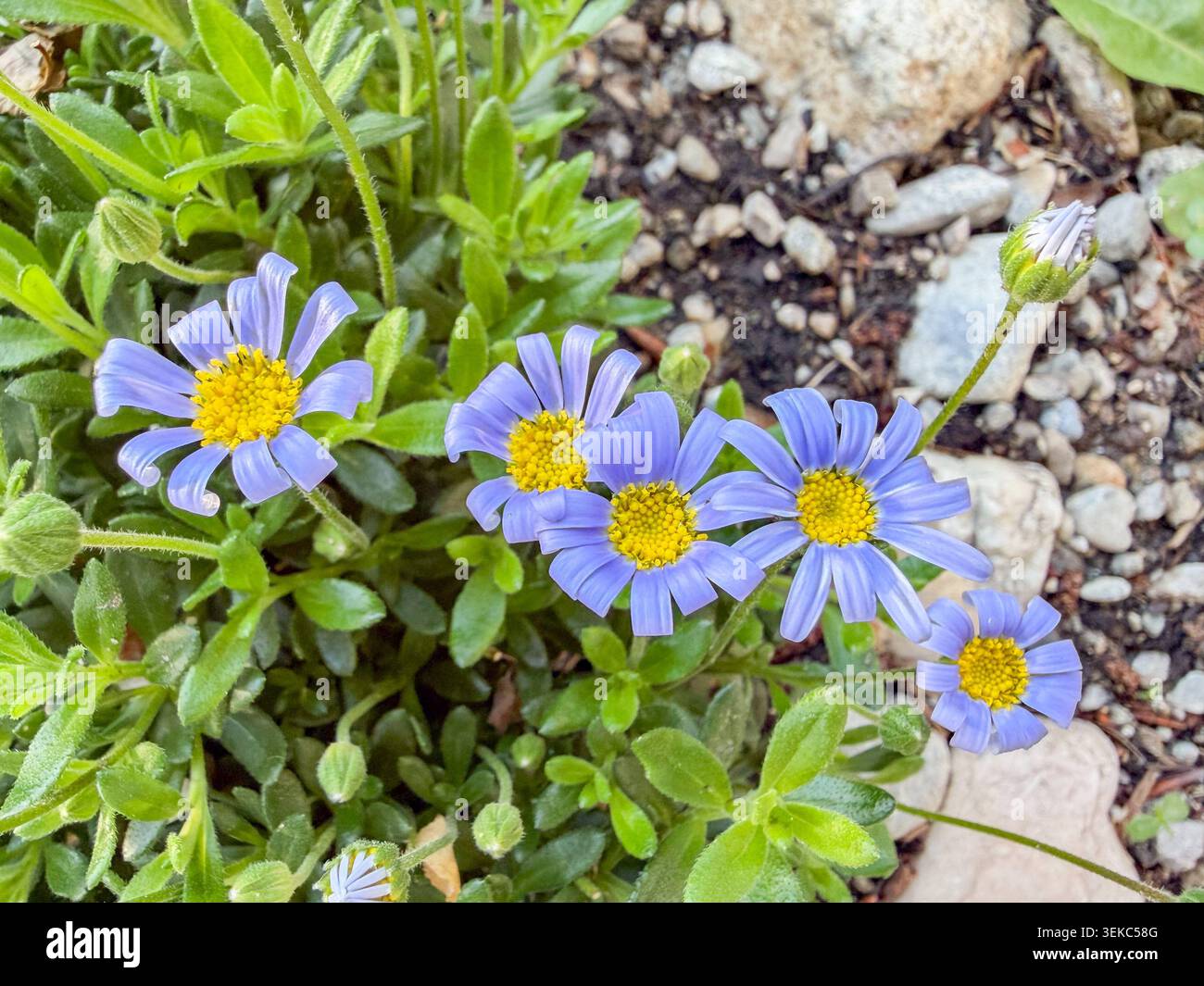 01.06.2026 / Igls, Innsbruck, Tirol, Österreich / Bild: Blaue Kapaster ...
