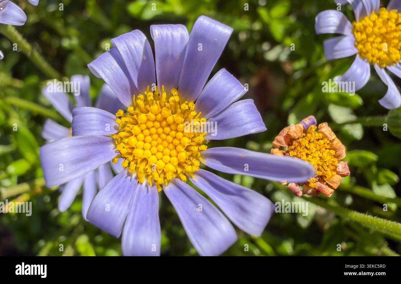 01.06.2026 / Igls, Innsbruck, Tirol, Österreich / Bild: Blaue Kapaster ...