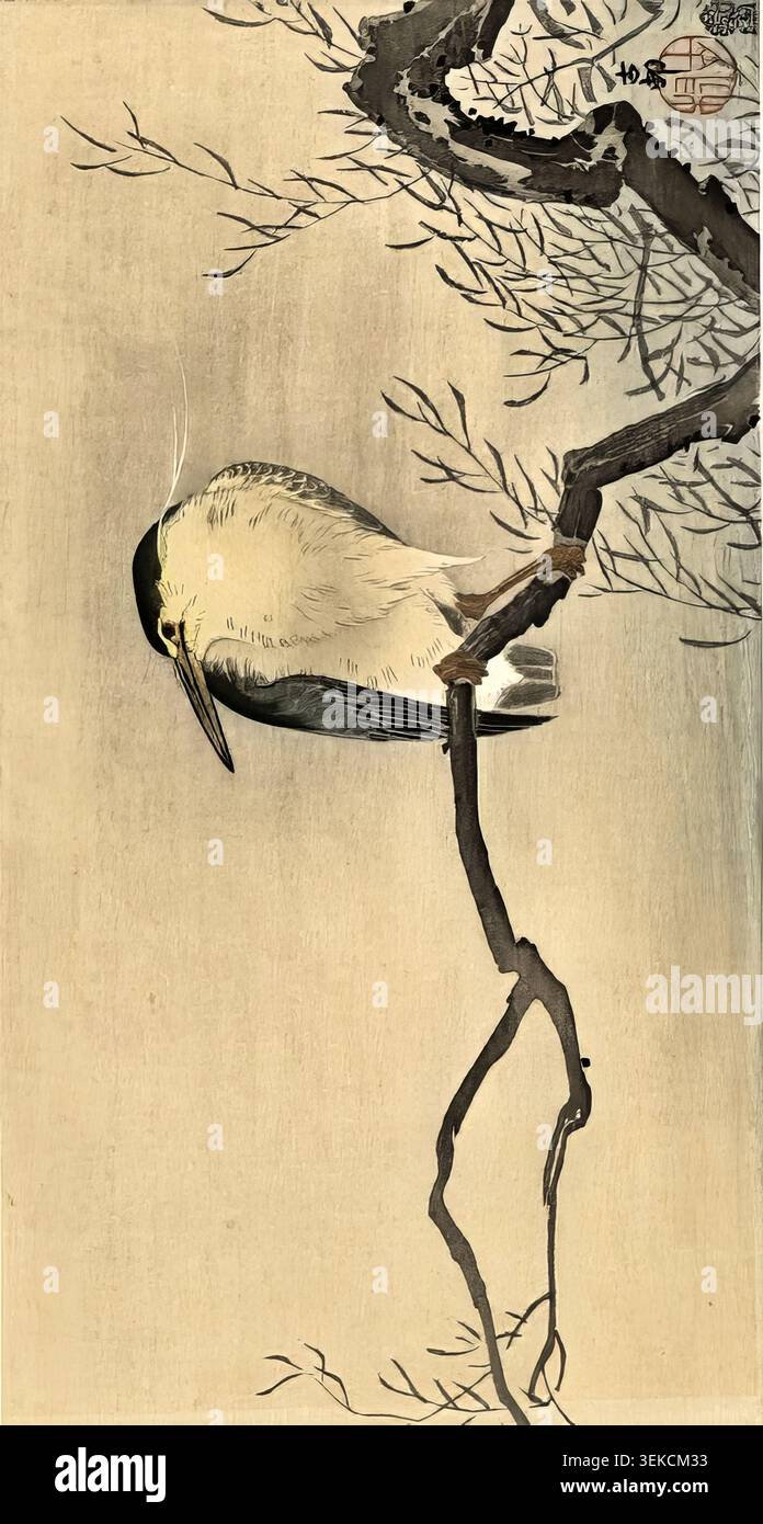 Ohara Koson – Night Heron on a Gnarled Branch (Kwak op grillige tak ...