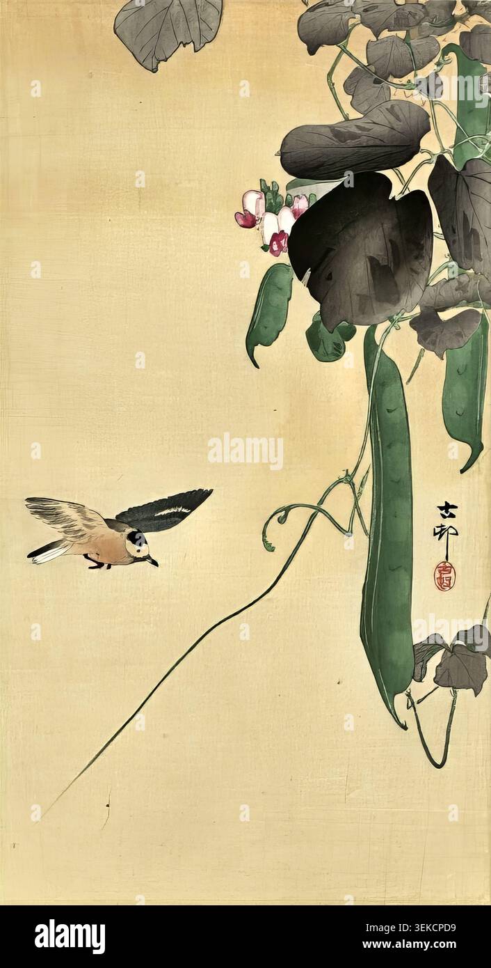 Ohara Koson – Bird and Flowering Bean Plant (Vogel bij bloeiende ...