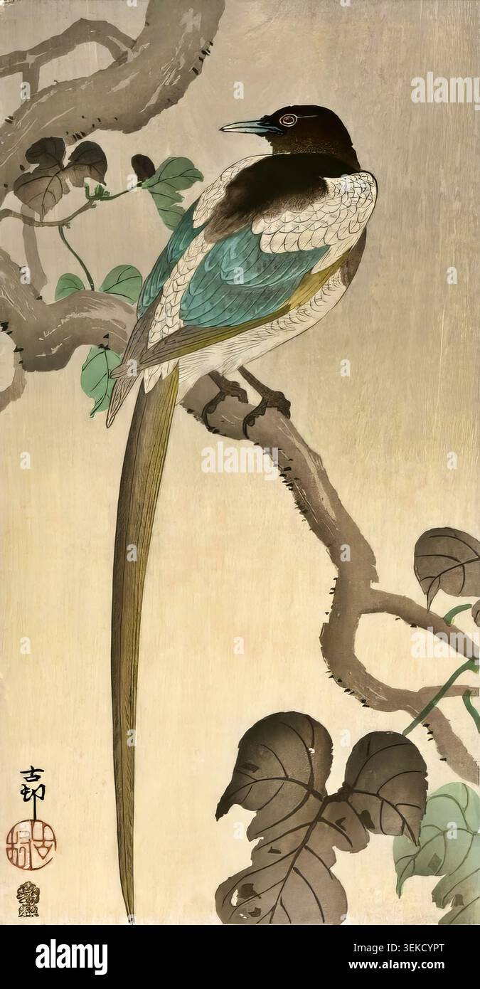 Ohara Koson – Azure-Winged Magpie on a Paulownia Branch (Onagadori ni ...