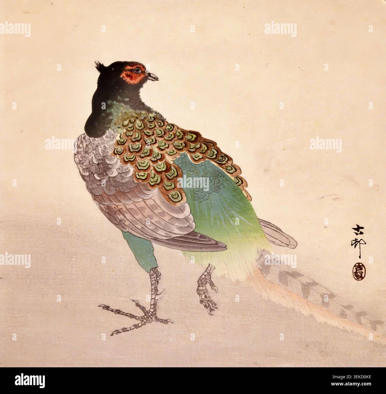Ohara Koson – Golden Pheasant (Pheasant) | Archium Stock Photo - Alamy