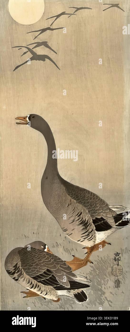 Ohara Koson – Two Geese (Twee ganzen) | Archium Stock Photo - Alamy