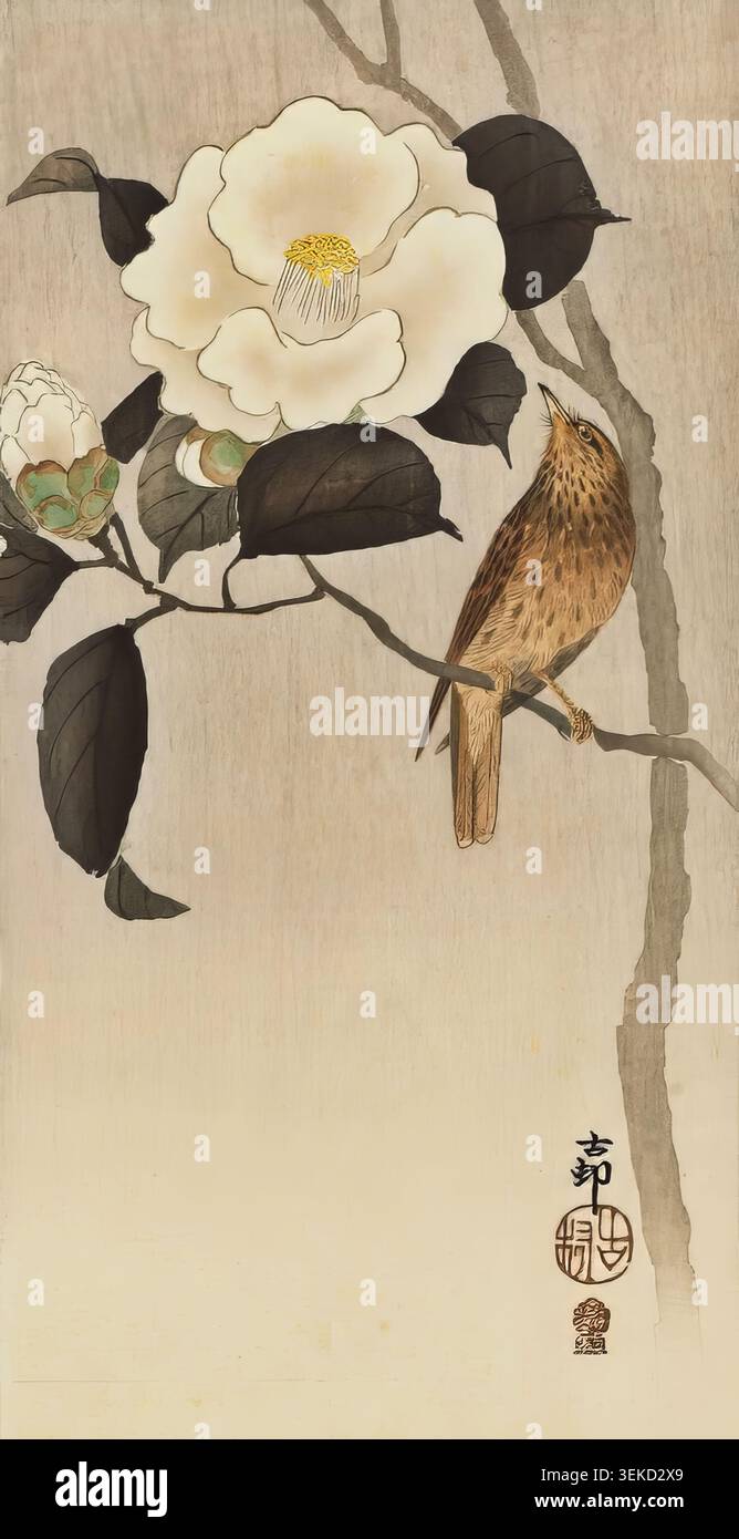 Ohara Koson – Songbird and Flowering Camellia (Zangvogel en bloeiende ...