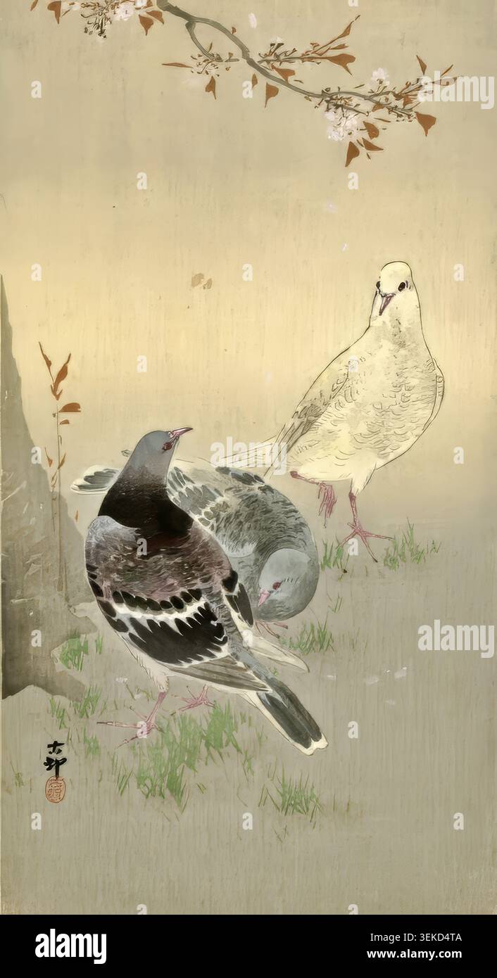 Ohara Koson – Three Domestic Pigeons (Drie tamme duiven), c. 1925-1936 ...