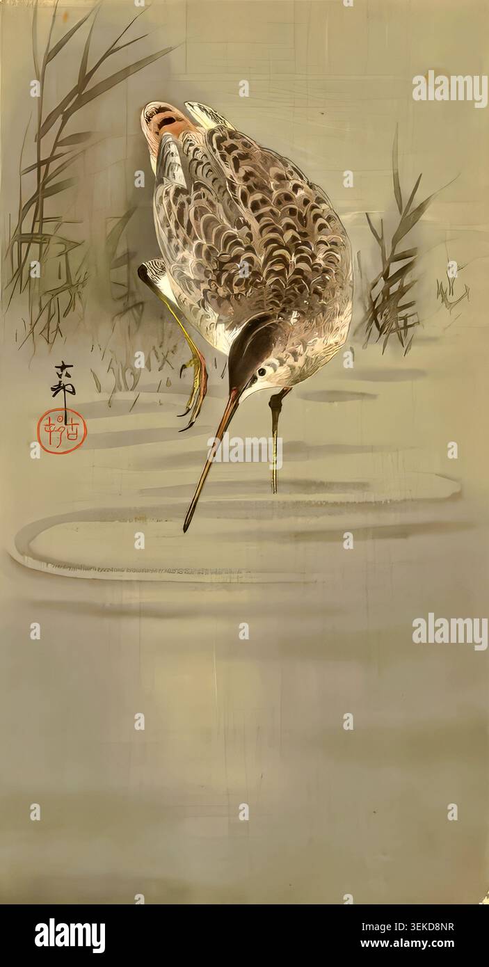 Ohara Koson – Snipe in Water (Shigi), c. 1900-1930 | Archium Stock ...