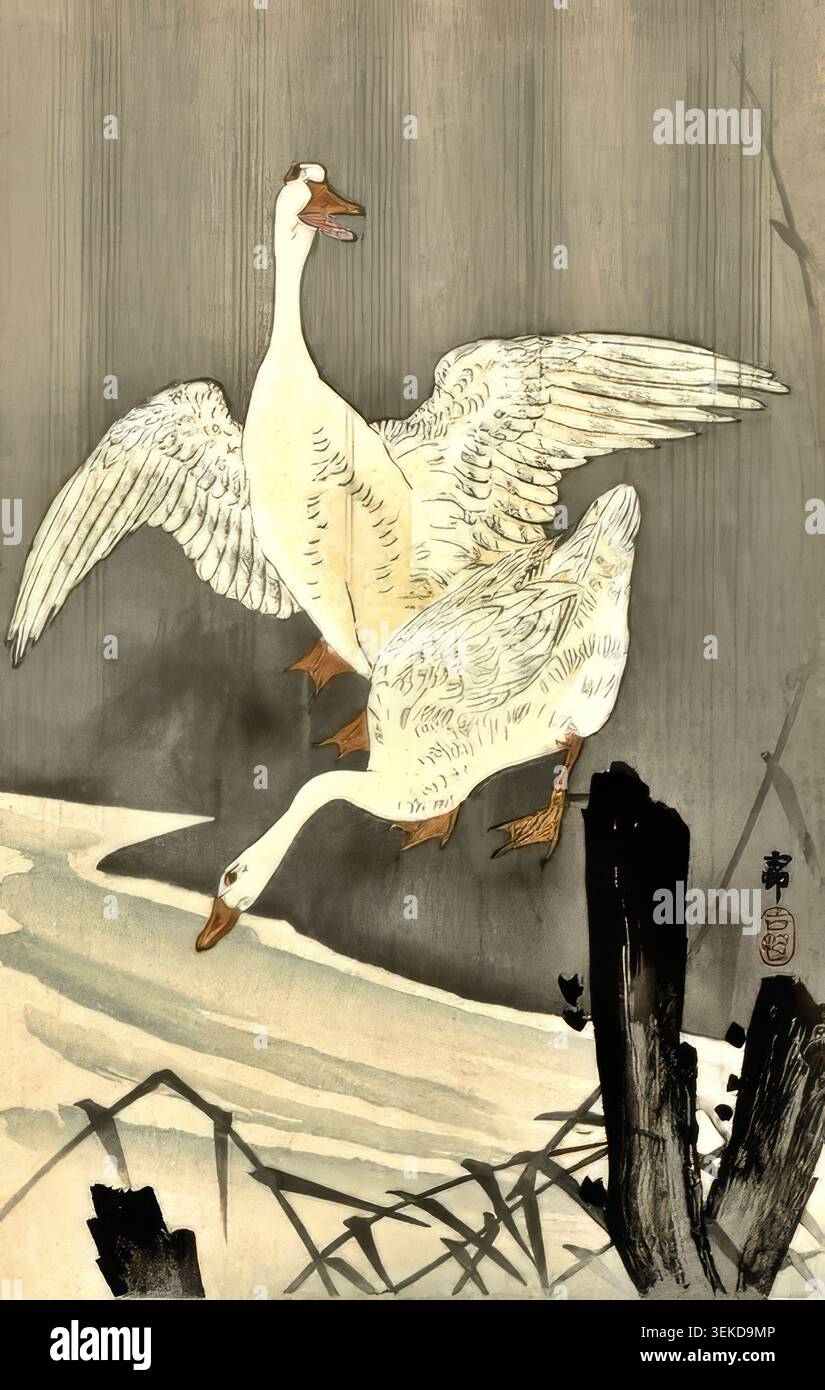 Ohara Koson – Two Geese Swimming near Reeds (Twee ganzen aan een rivier ...