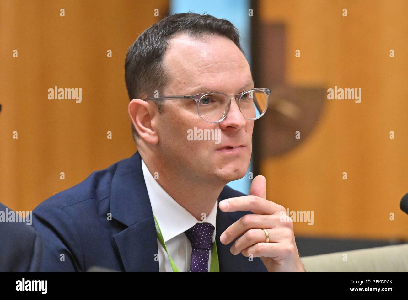 Department of Industry Deputy Secretary Neal Mason during Senate ...