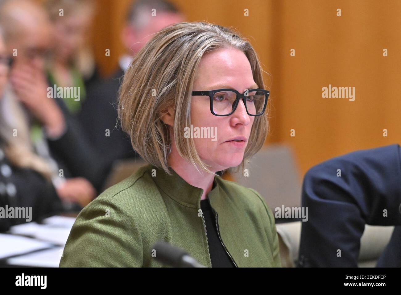 Department of Industry Acting Secretary Julia Pickworth during Senate ...