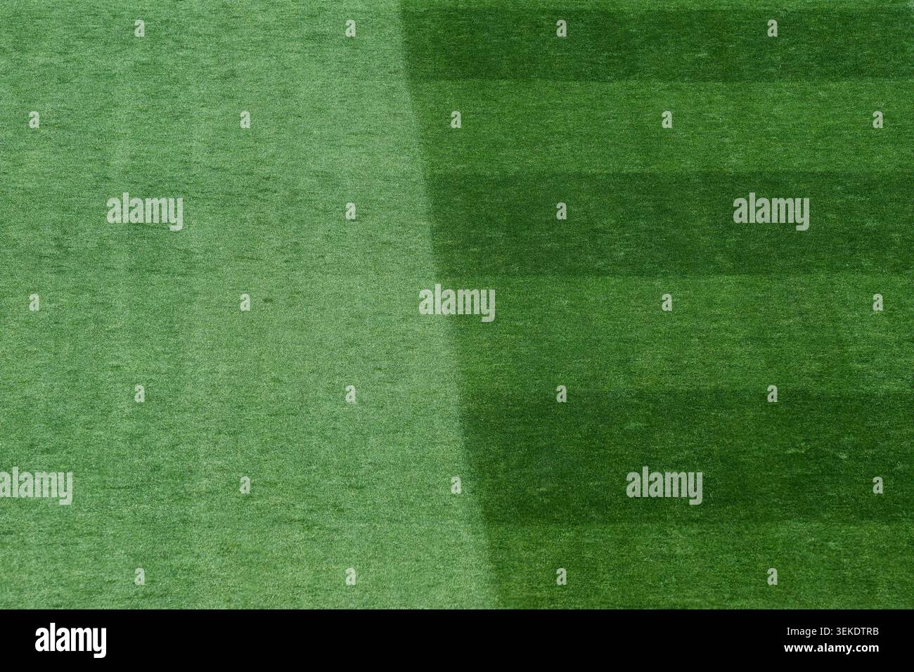 Striped professional soccer stadium turf photographed , high resolution ...