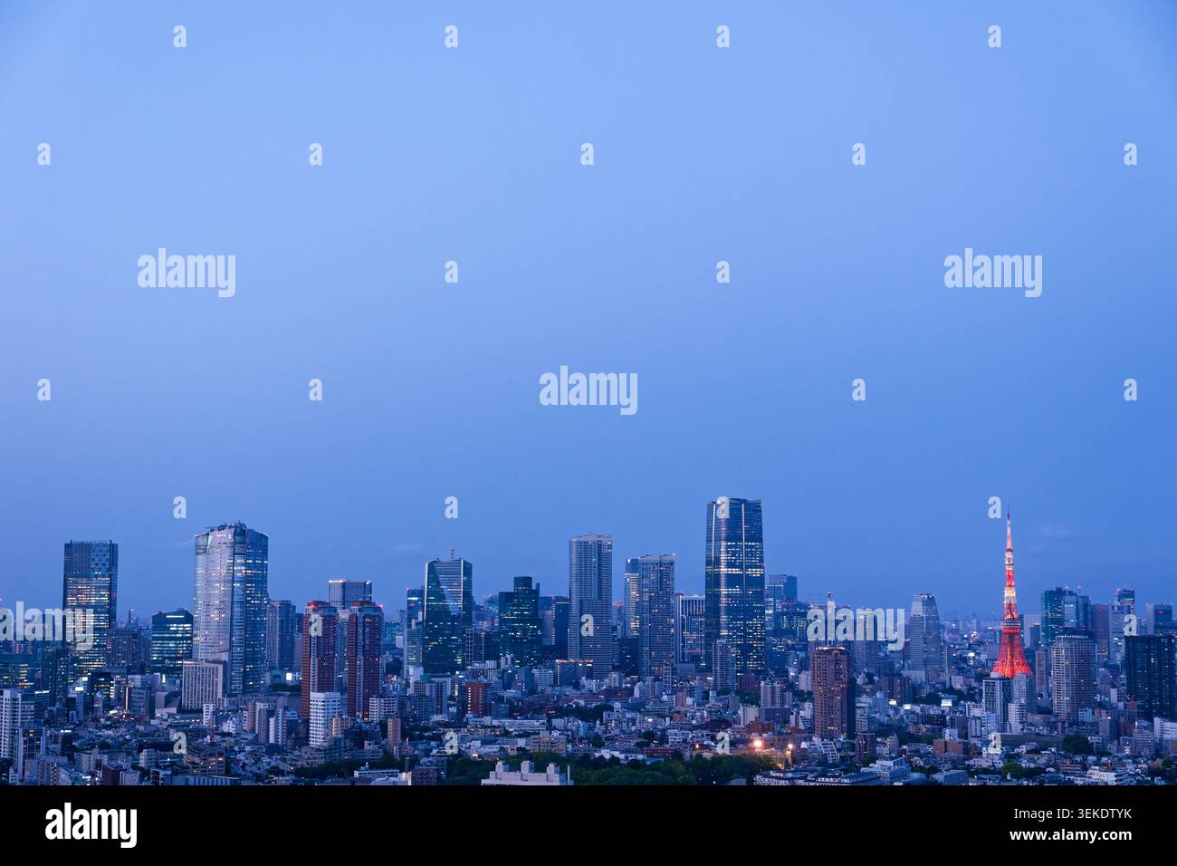 Tokyo skyline at blue hour with illuminated city buildings and Tokyo ...