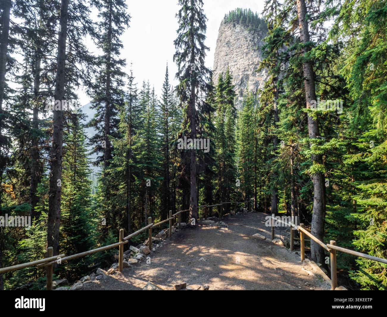 OLYMPUS DIGITAL CAMERA Stock Photo - Alamy