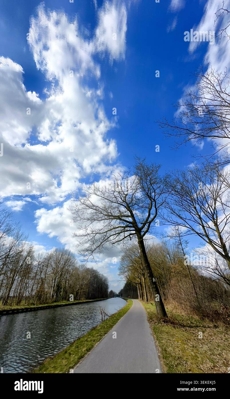 A serene walkway beside a canal is lined with tall trees under a ...
