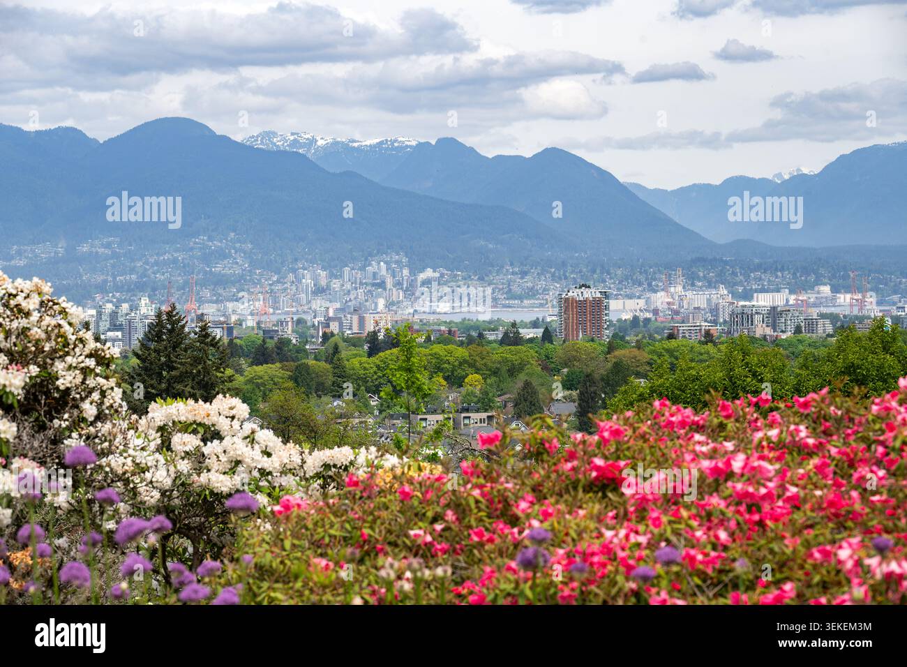 Vancouver City View with Mountains from Queen Elizabeth Park Stock ...