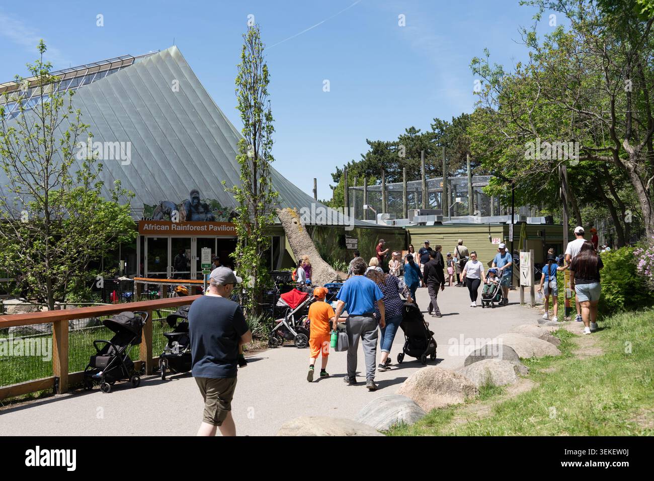 Toronto, Canada - May 31, 2026: Families Visiting African Rainforest ...