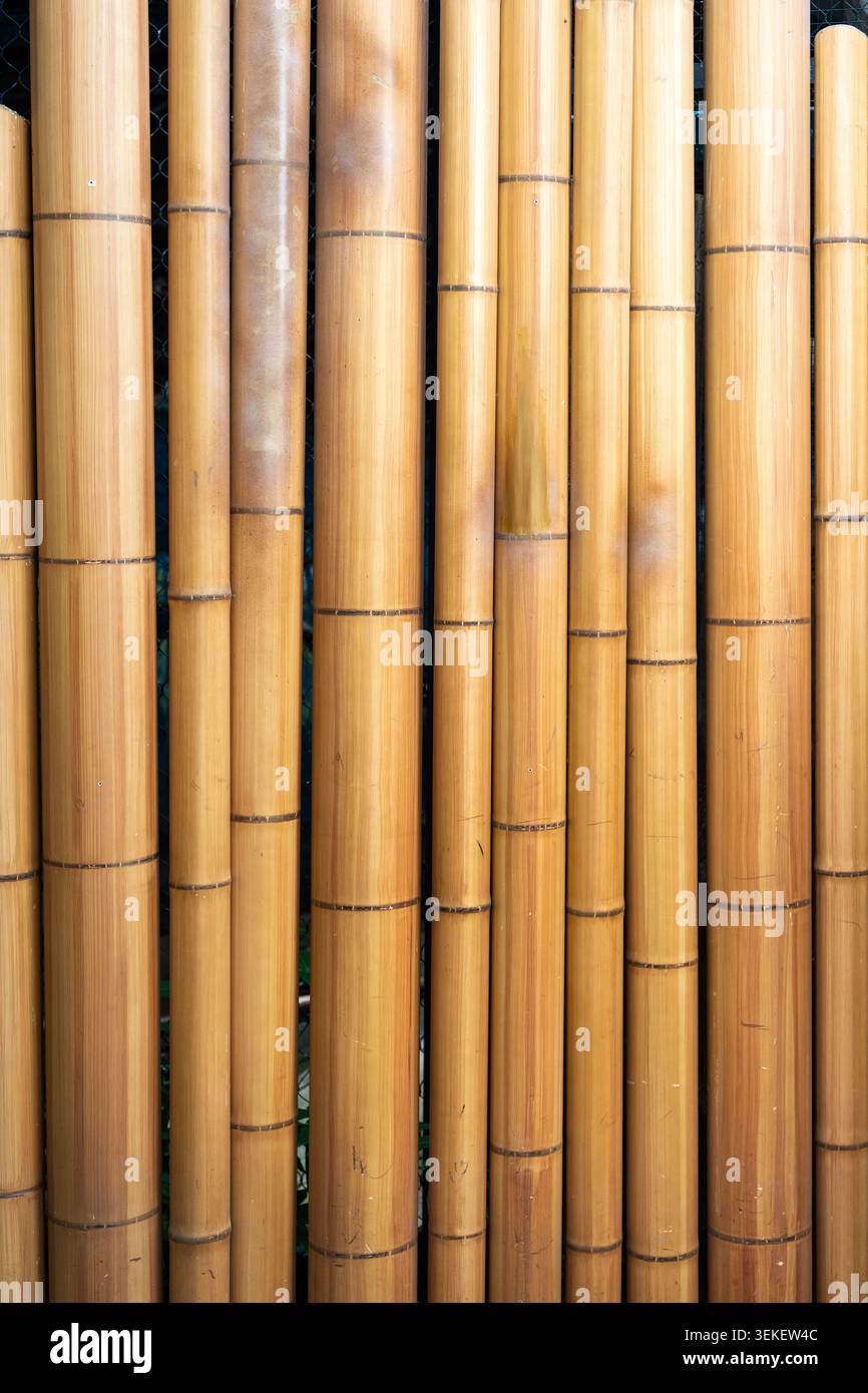 A detailed close up of several vertical bamboo stalks arranged side by ...