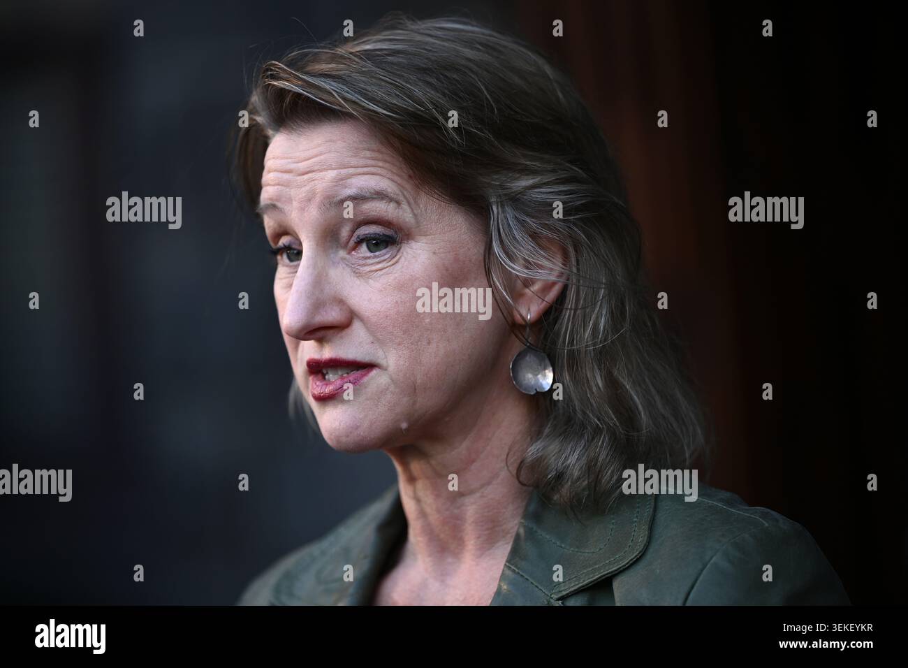 Victorian Minister for Emergency Services Vicki Ward speaks to media at ...