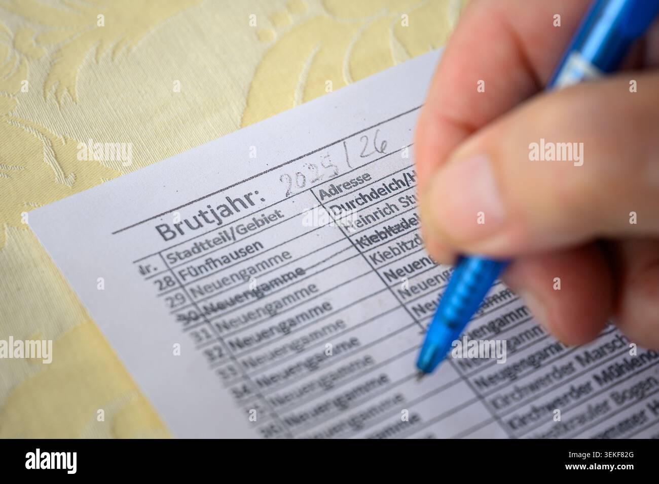 PRODUCTION - 29 May 2026, Hamburg: Hamburg's stork manager Jürgen Pelch ...