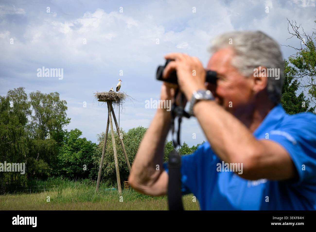 PRODUCTION - 29 May 2026, Hamburg: Hamburg's stork keeper Jürgen Pelch ...