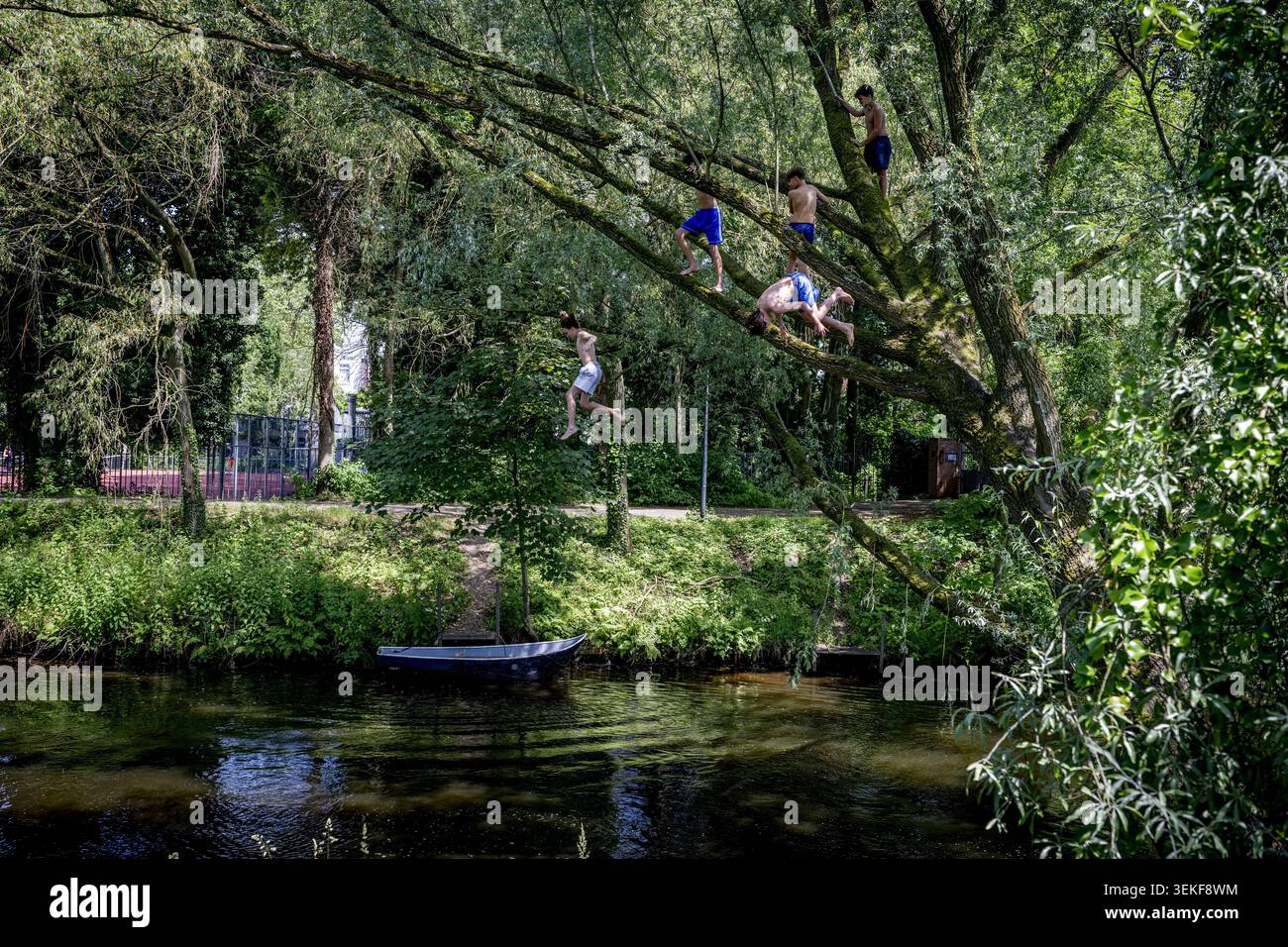 BREDA - Young people jump out of a tree into the water during the warm ...