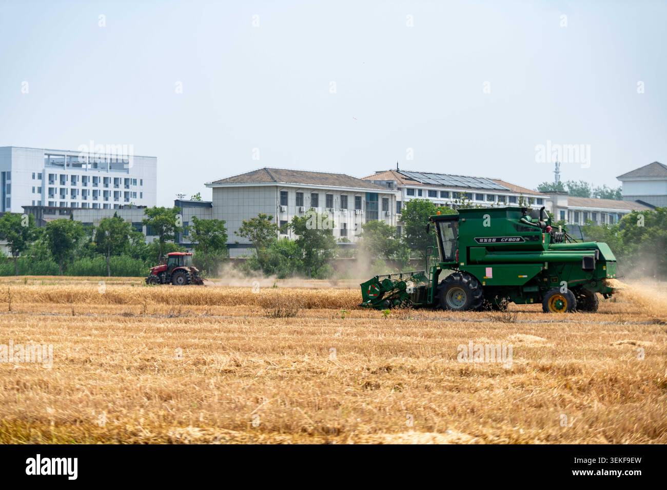 Farmers operate harvesters in a wheat field at Hongqi Seed Farm in ...