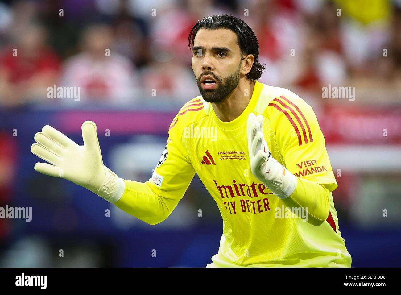 David Raya of Arsenal during the Paris Saint-Germain v Arsenal UEFA ...