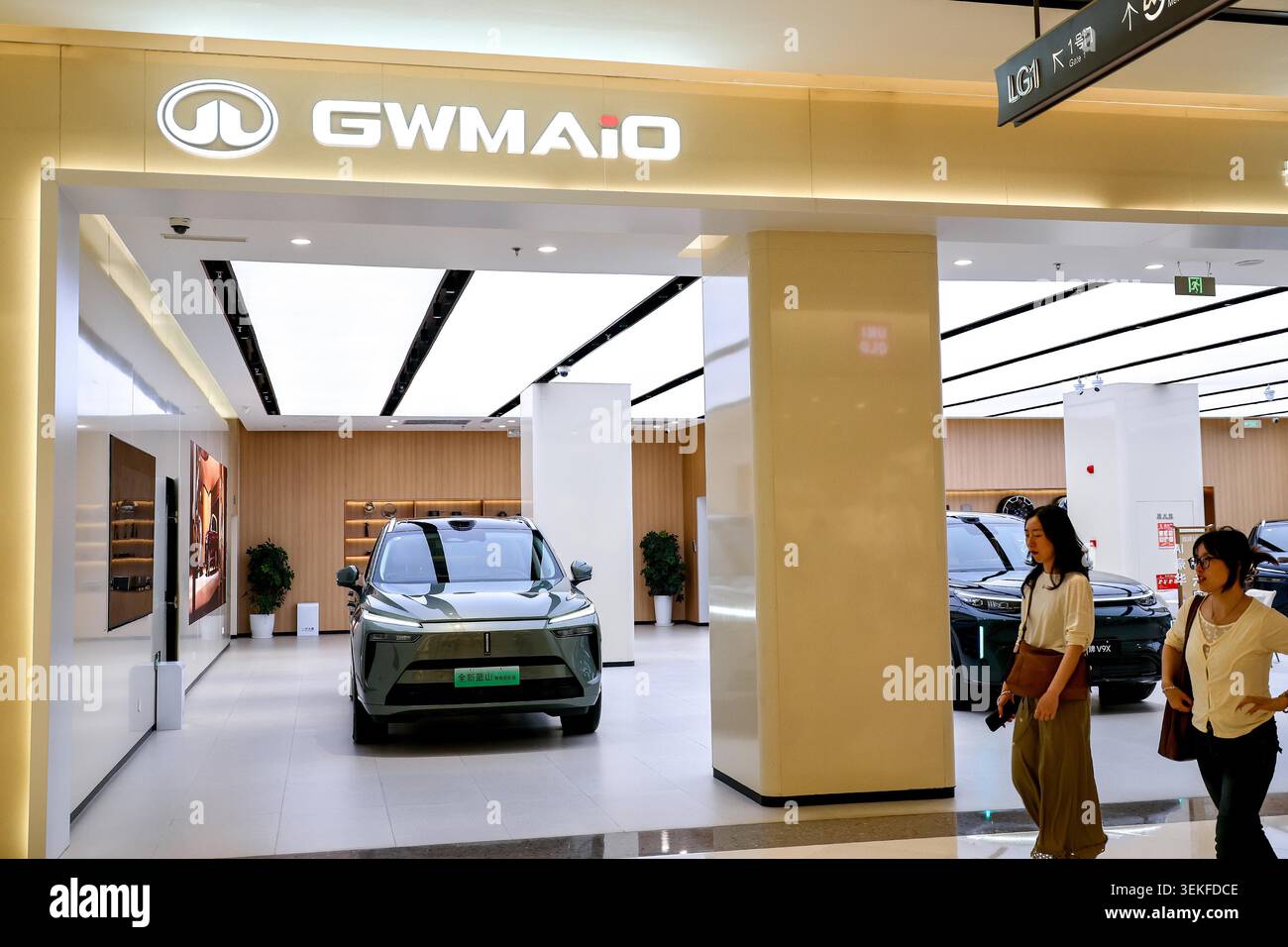 A citizen checks out Great Wall Motors' new energy vehicles at a ...