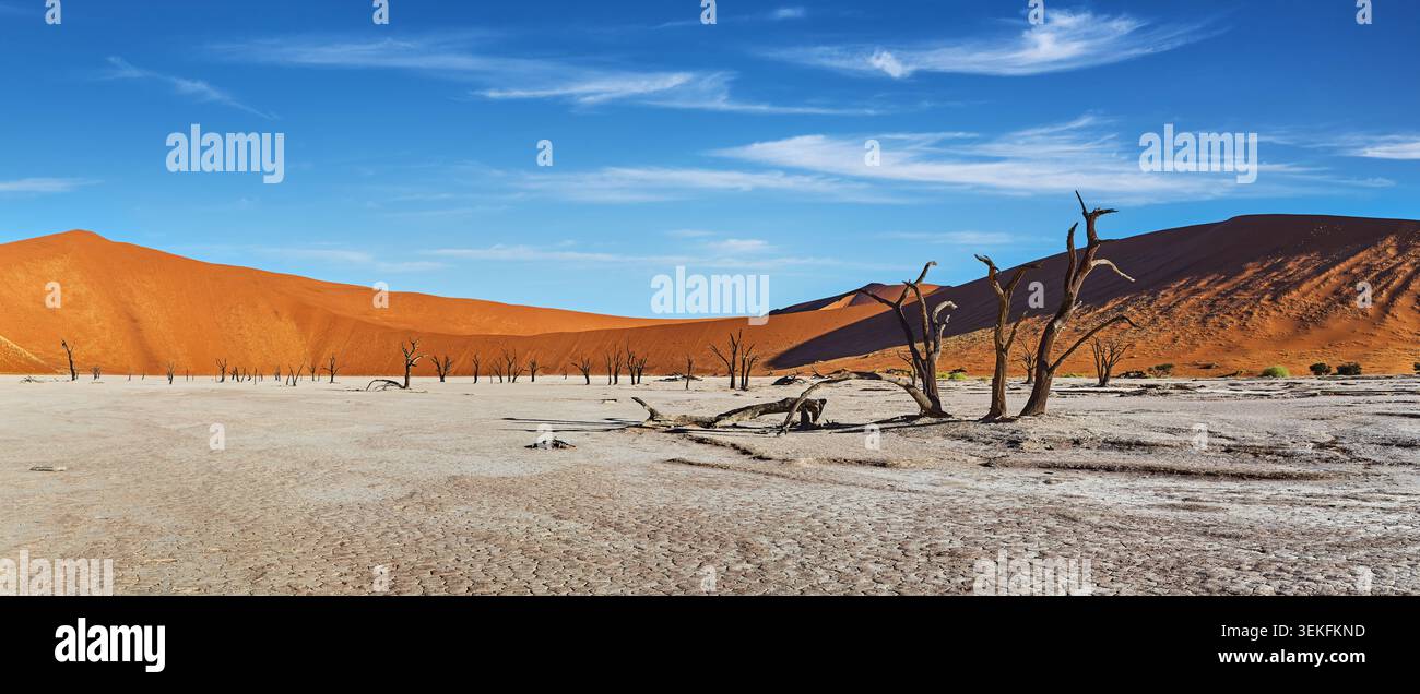 Deadvlei in Sossusvlei in Namibia is a mystical and beautiful place in ...