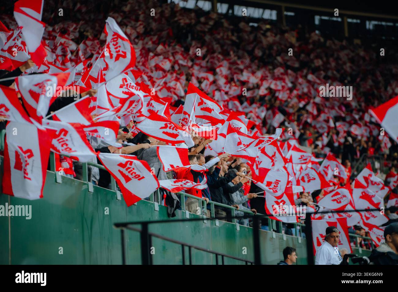 Vienna, Austria, 01th June 2026, Audience in the game Austria against ...