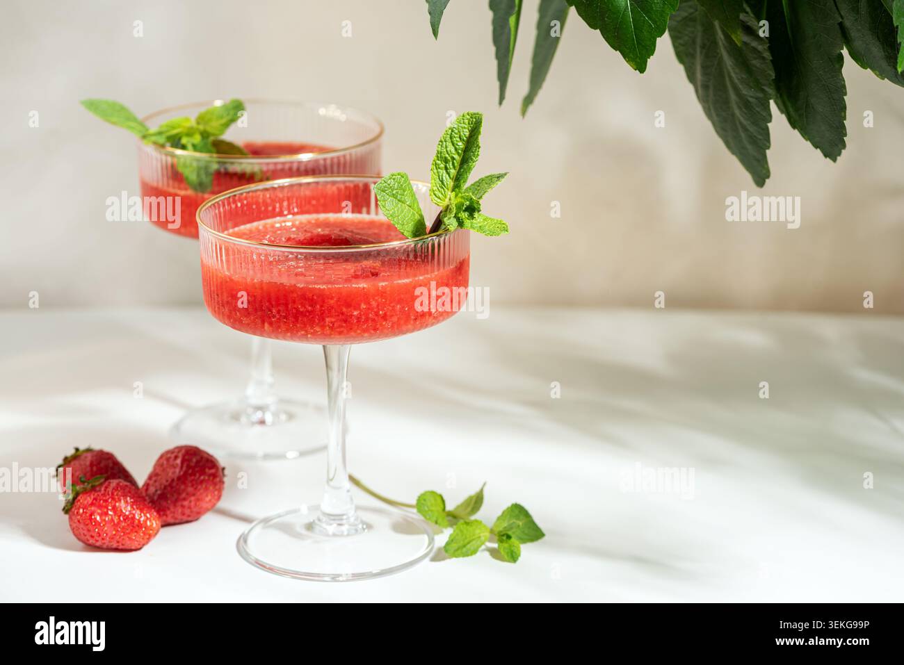 Two glasses of sweet strawberry frozen cocktails with mint garnish on a ...