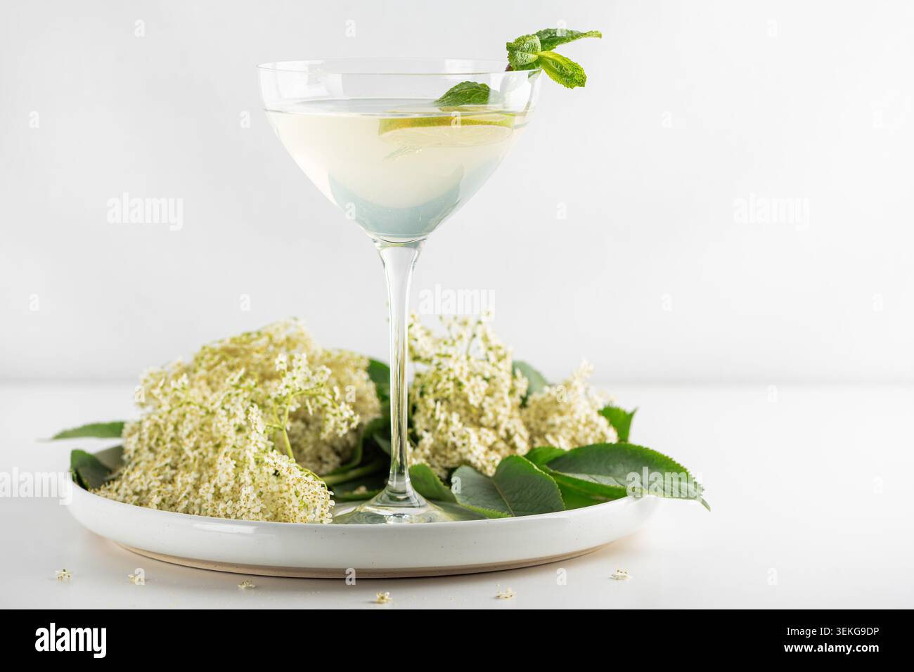Hugo cocktail featuring elderflower blossoms, fresh mint leaves, and ...