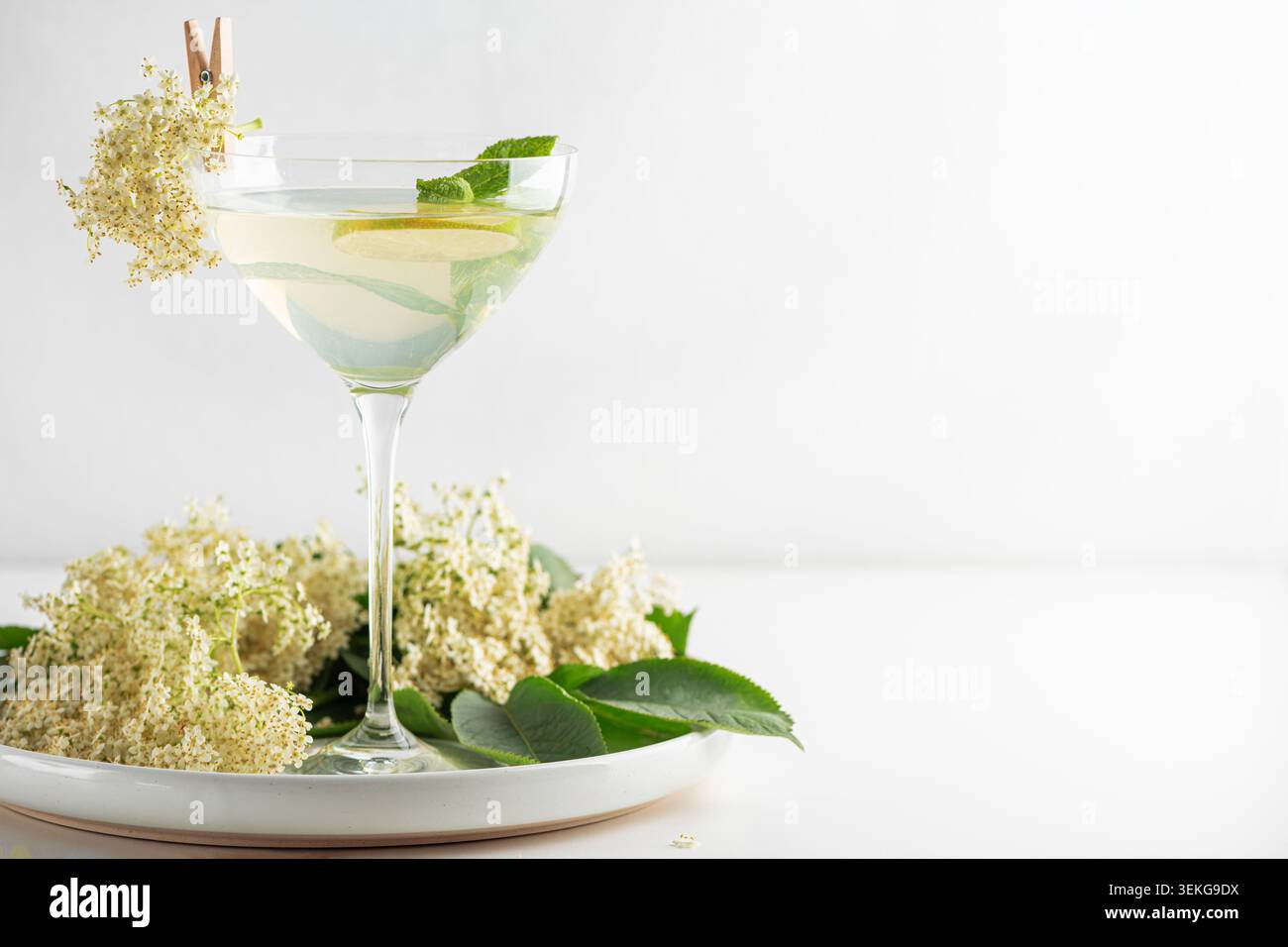 Hugo cocktail featuring elderflower blossoms, fresh mint leaves, and ...