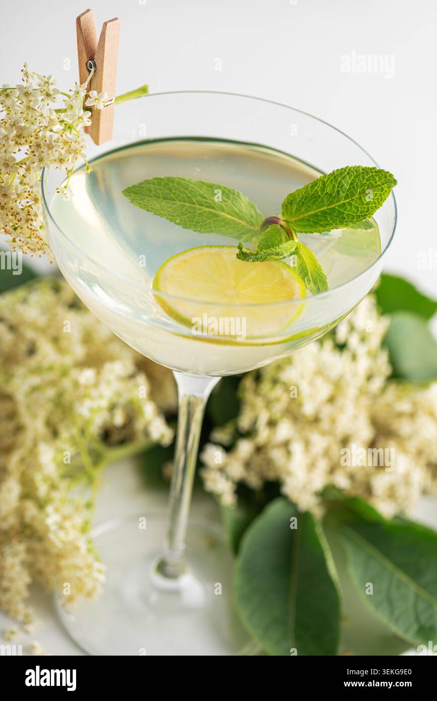 Hugo cocktail featuring elderflower blossoms, fresh mint leaves, and ...