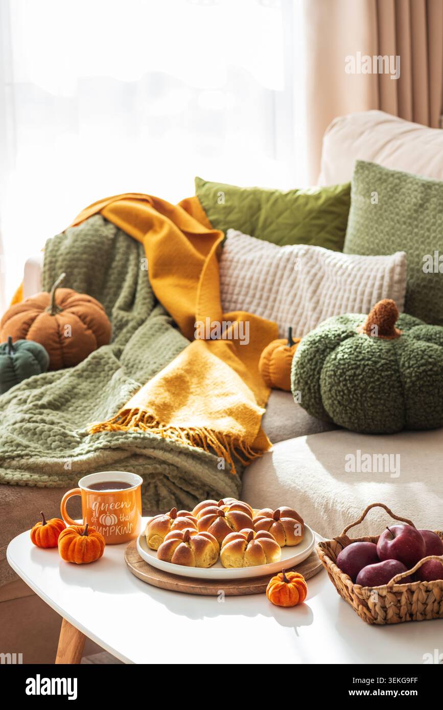 Living room sofa featuring warm blankets, decorative pillows, fluffy ...