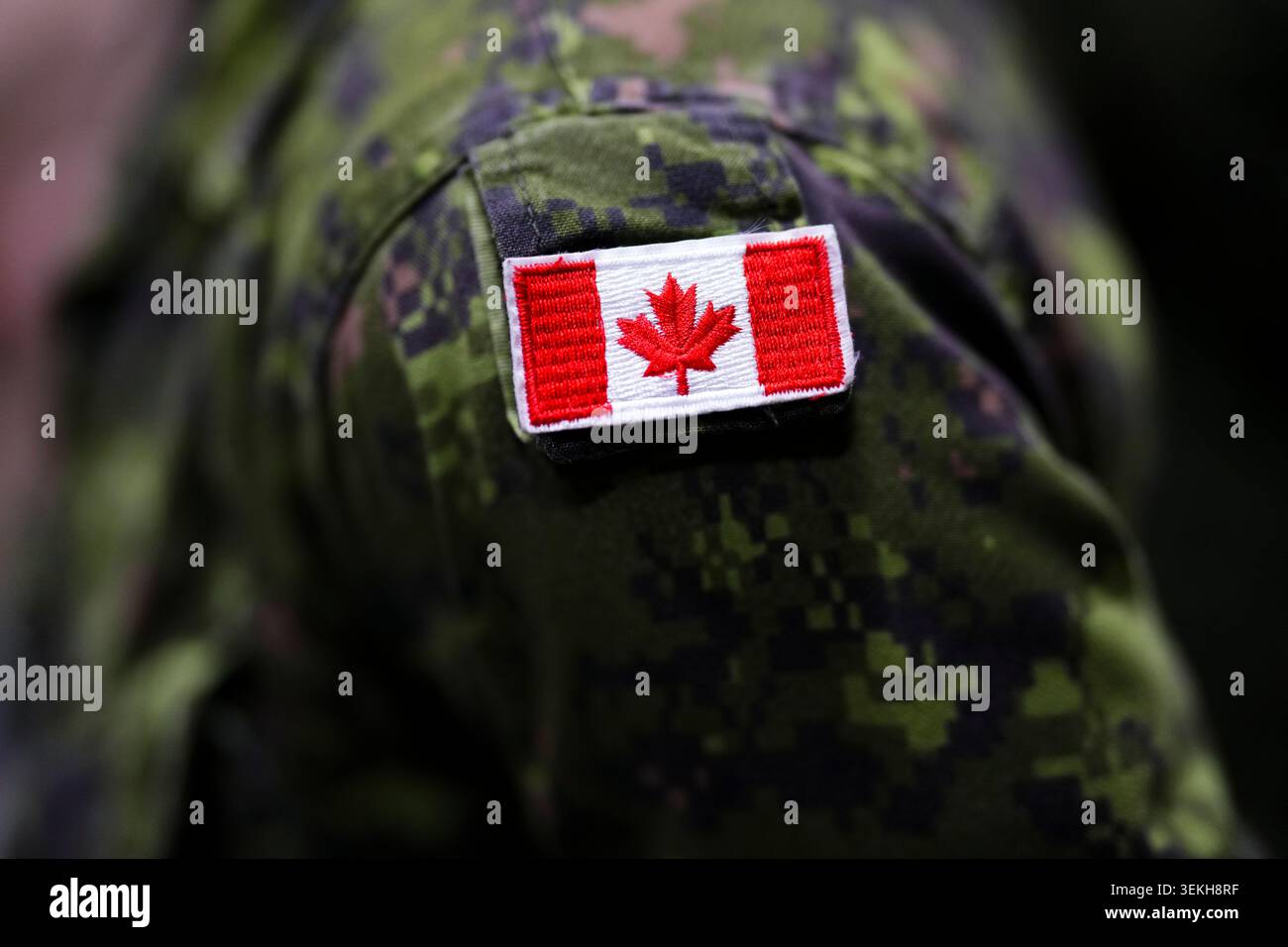 A Canadian soldier takes part in an announcement in Petawawa, Ont., on ...